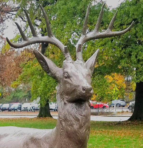 The talking Court House Deer of Wilkes-Barre – ChessieWriter